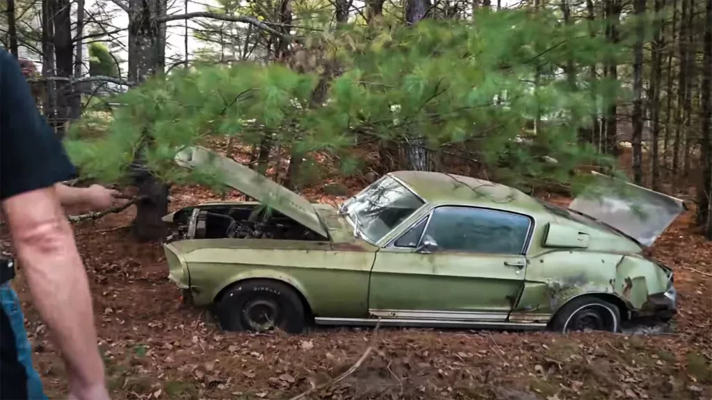 Hittar berömd Mustang mitt i skogen efter 35 år | Carup.se