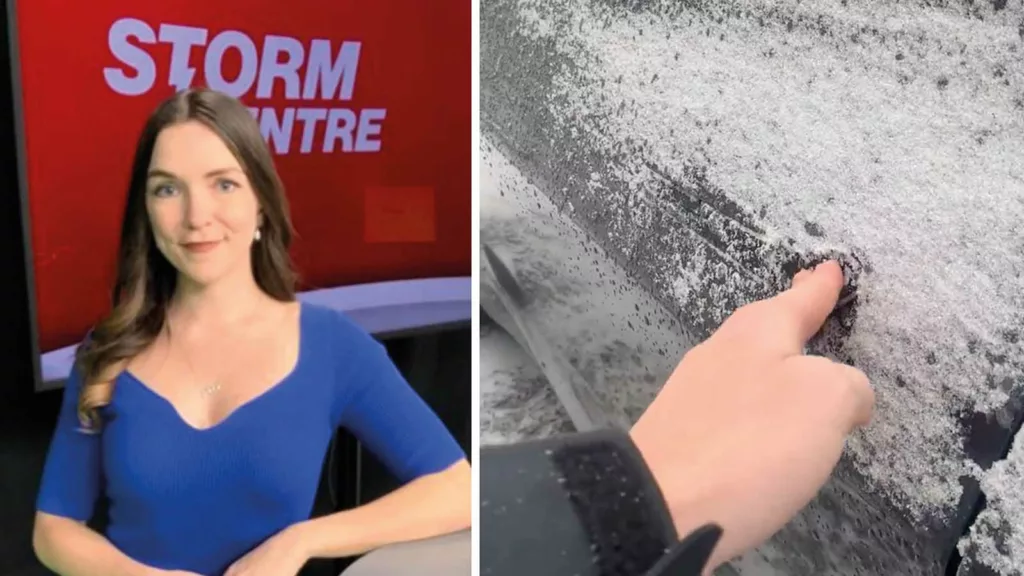 Meteorologen utfryst från sin Tesla: ”Elon Musk tänkte inte på is ...