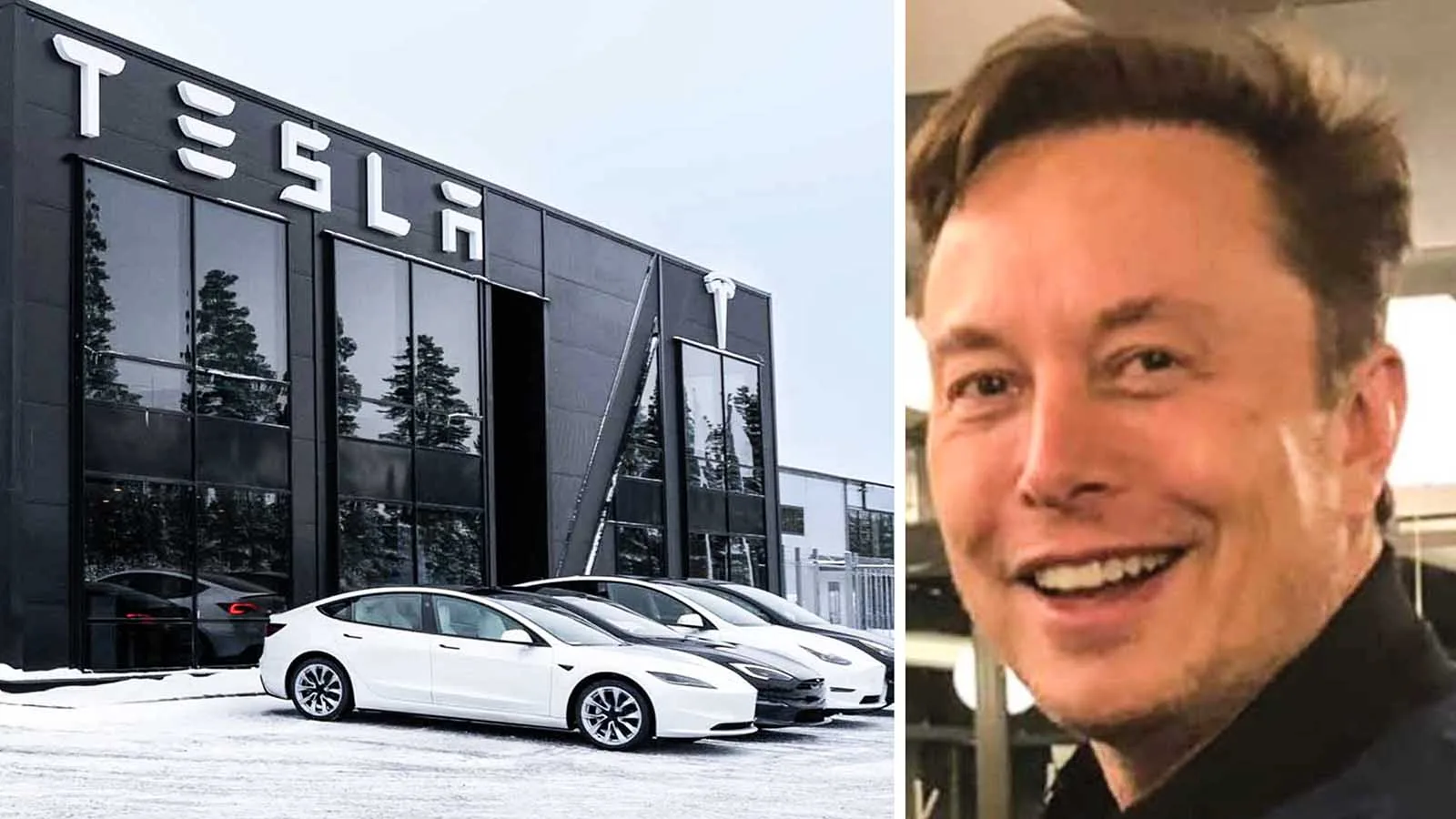 Elon-effekten: Tesla-priser rasade med 19 procent | Carup.se