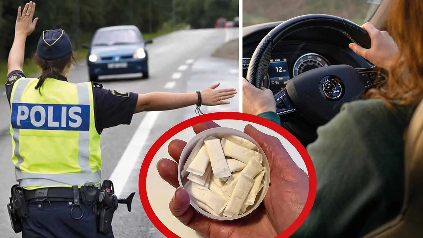 Så mycket får du betala – för en enda snusprilla | Carup.se
