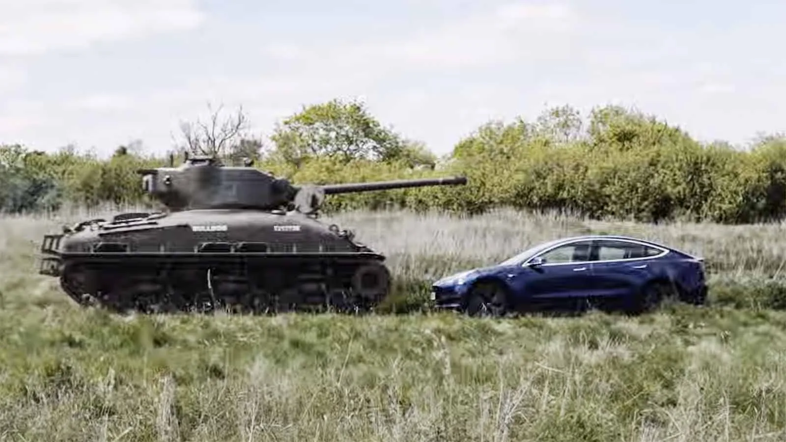 98-årige krigsveteranens protest mot Elon Musk | Carup.se