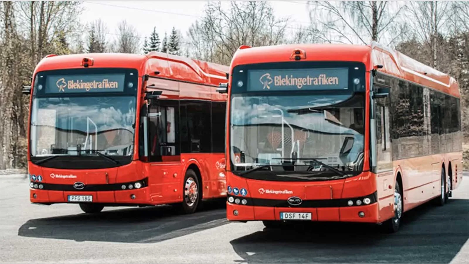 Nya kinesiska elbussar dör mitt i trafiken | Carup.se